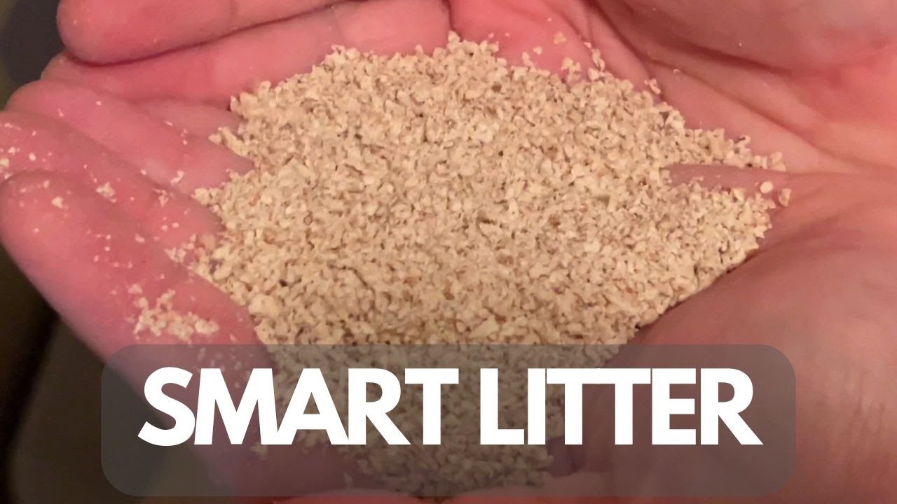 SmartCat All Natural Clumping Cat Litter, 20 Pound Review