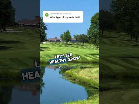 The Types of Grass on Our Course 🤓