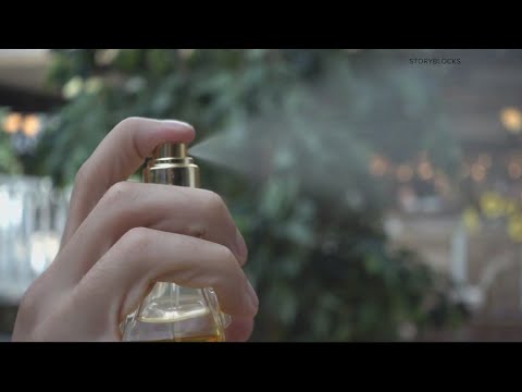 Can air fresheners be bad for pet health? | Verify
