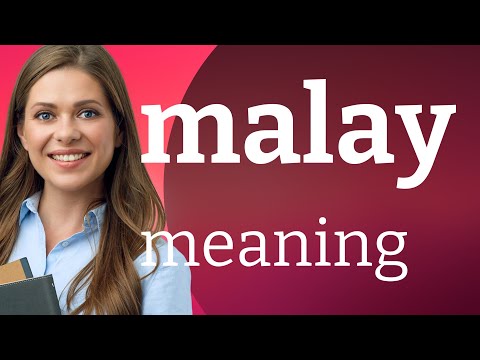 Malay | MALAY meaning