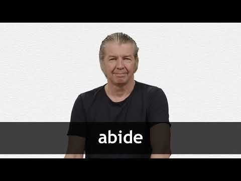 ABIDE - Definition & Translations | Collins English Dictionary