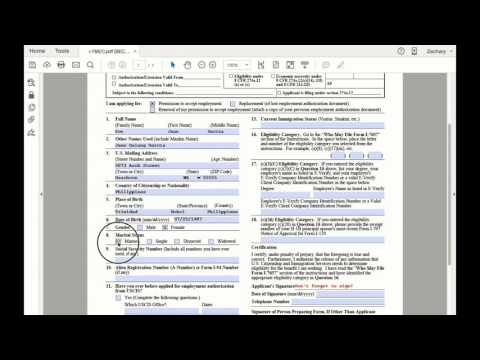 I-765 Employment Authorization