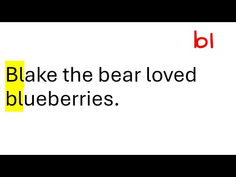 Blake the Bear