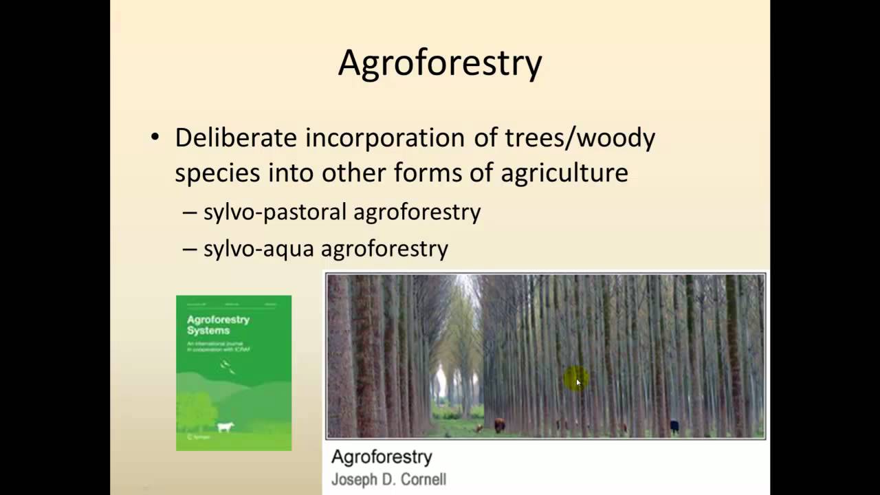 Forestry Part1