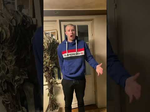 Nikola Bazdar tiktok