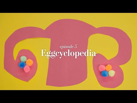 Everything you need to know about freezing your eggs | Should I freeze my eggs?