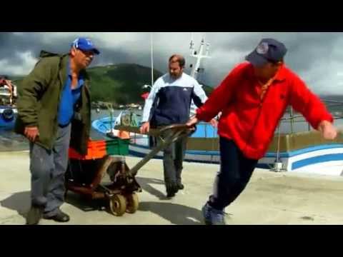 Fisheries science and management