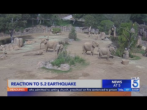 People react to 5.2 quake near San Diego