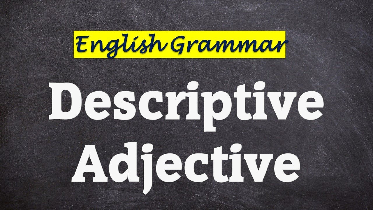 17. Descriptive Adjectives (Beginner)