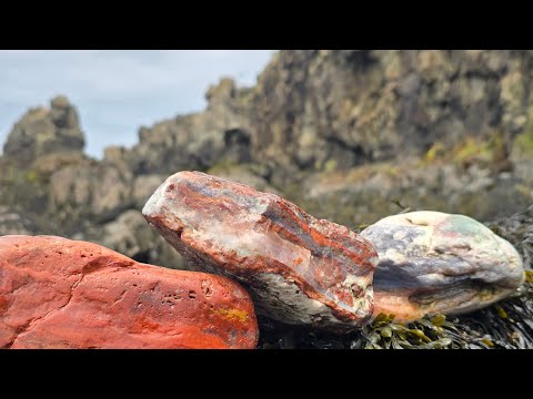 Rockhounding Seam Agate Chalcedony Banded Jasper Nova Scotia's Bay of Fundy