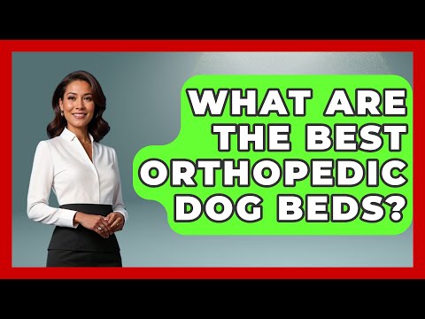 What Are The Best Orthopedic Dog Beds? - Orthopedic Support Network