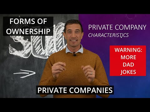 What is a PRIVATE COMPANY - Forms of Ownership Part 5 - EMS Grade 8