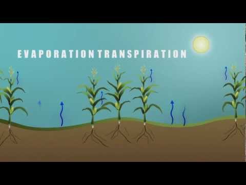 Understanding Evapotranspiration (ET)