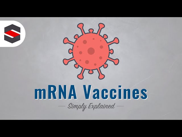 Understanding mRNA Vaccines: How They Work and Their Safety | Galaxy.ai ...