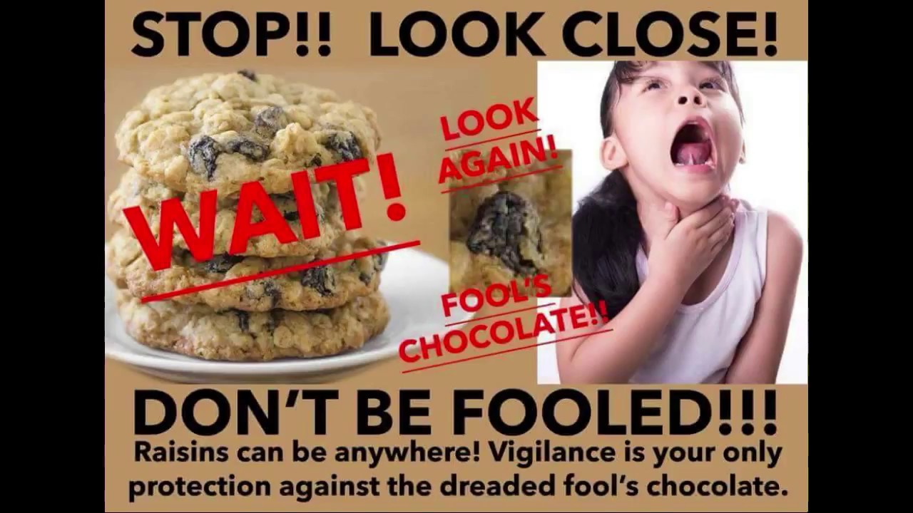 Funny pictures and Memes from eBaum's World