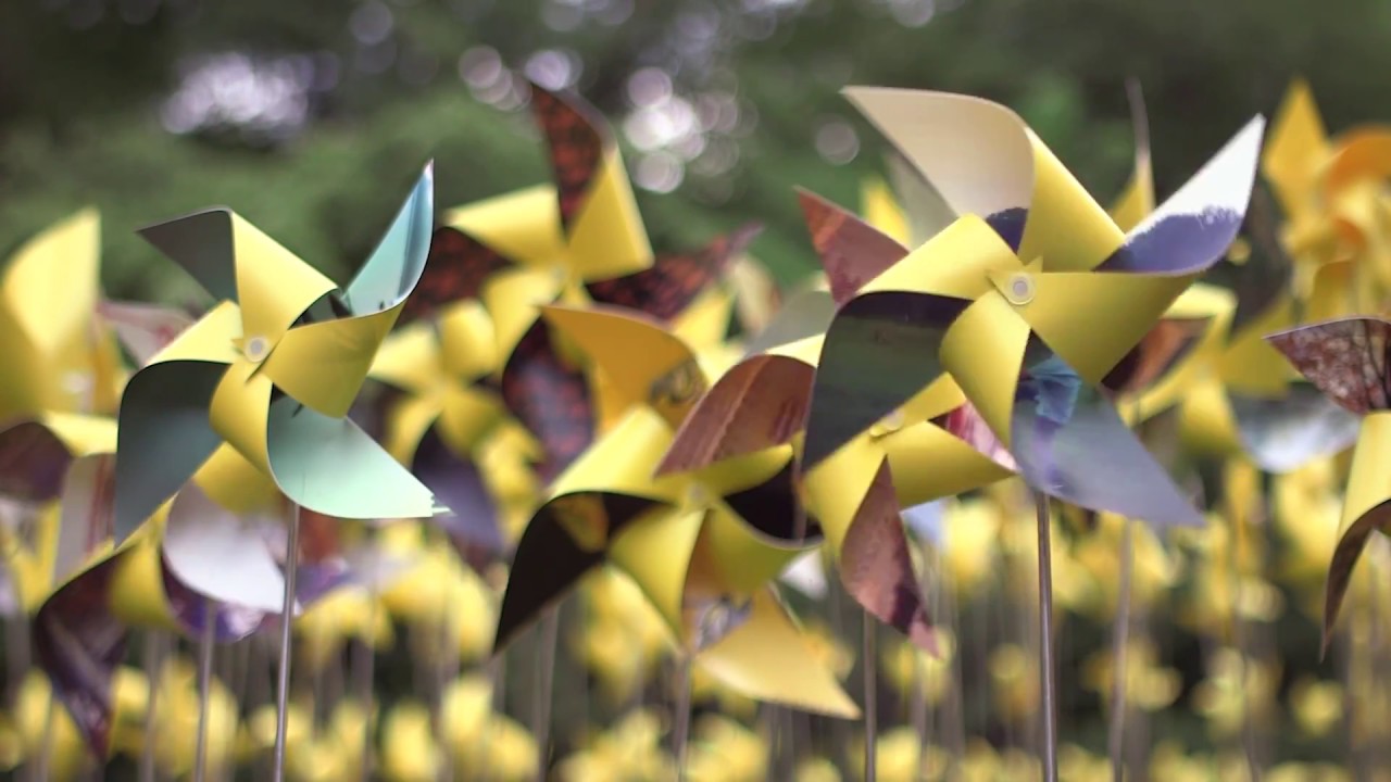 Connective Project - Prospect Park Alliance  | studio BK