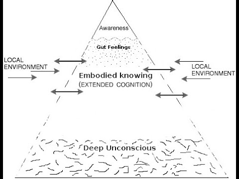 The Embodied Pathways of Connection: A Presentation | Body Mind Place