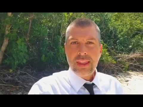 Is getting ordained online legal?