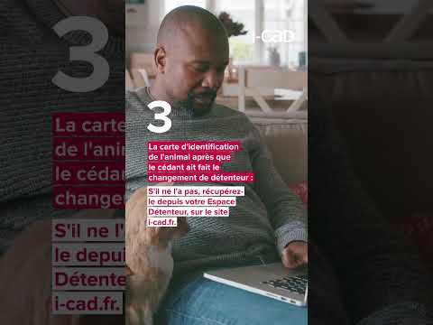 4 documents essentiels à obtenir pour adopter un animal