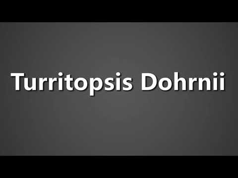 How To Pronounce Turritopsis Dohrnii