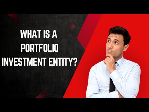 What Is a Portfolio Investment Entity?