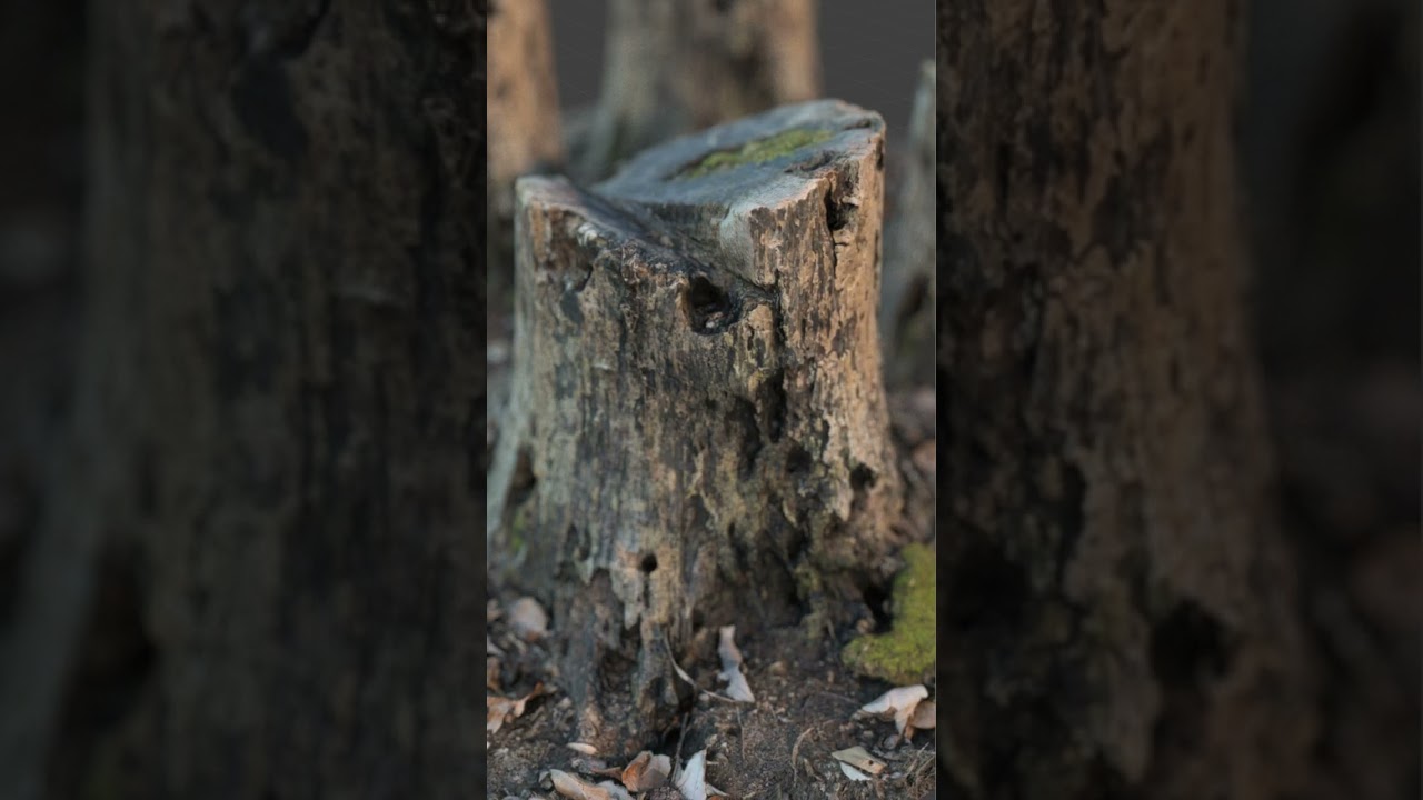 Quick lighting tip to improve your renders