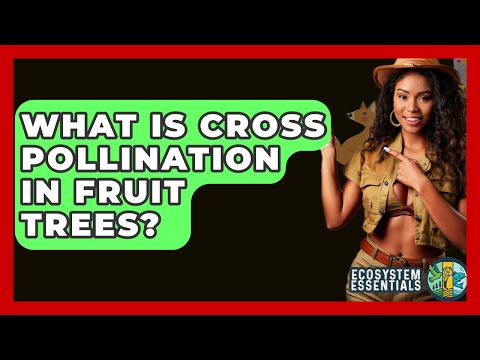 What Is Cross Pollination In Fruit Trees? - Ecosystem Essentials