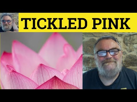 🔵 Tickled Pink Meaning - Tickled Pink Examples - Tickled Pink Definition - Vocabulary - Tickled Pink