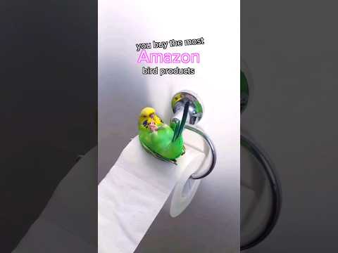 Most popular Amazon bird toysβ€οΈ