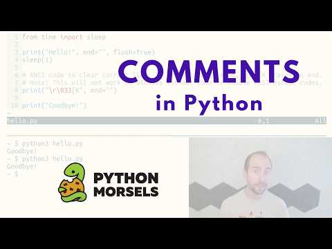 Commenting in Python