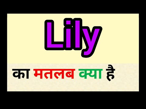 Lily meaning in hindi || lily ka matlab kya hota hai || word meaning english to hindi