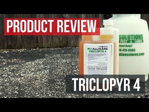 Triclopyr 4: Product Review