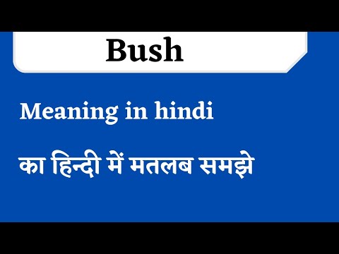Bush meaning in hindi |Bush ka matlab hindi mai kya hai