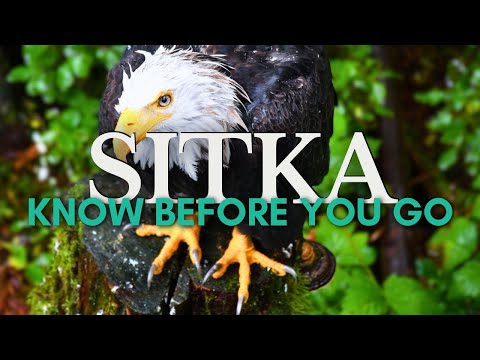 Visiting Sitka in 2025: What to Know Before You Go