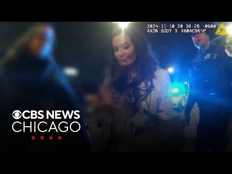 Cook County Board of Review Commissioner appears in court on DUI charge