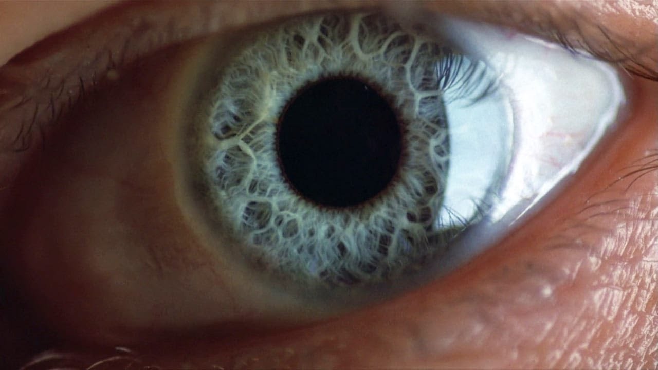 Full Movie | Cube 1997 | Horror Sci-fi