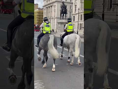 London Horse Police #shorts