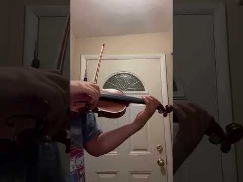 Antique French Violin | Reverb