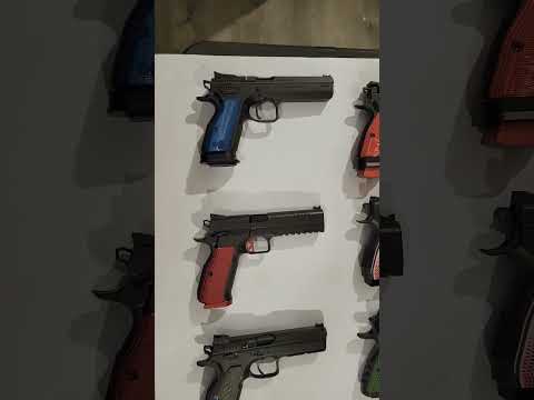 2023 gun collection..my cz's