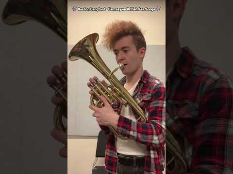 What is an ALTO/TENOR HORN? Let's Find Out!