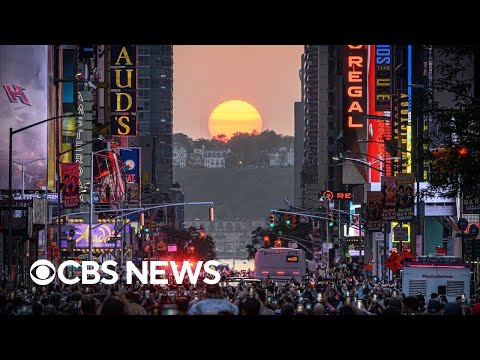 Manhattan, New York City financier Michael Olson fired by Dwight ...