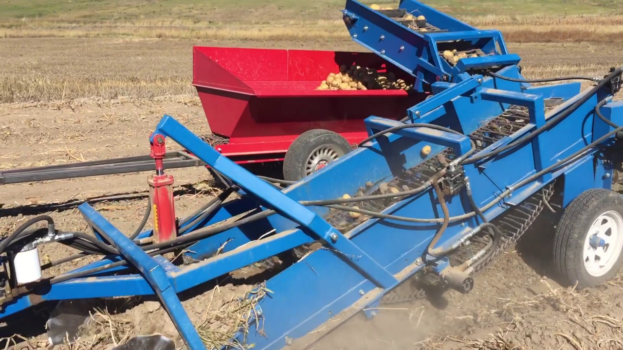 US Small Farm one row potato digger with Collection Wagon