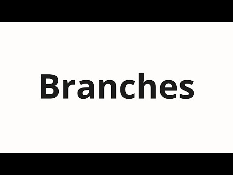How to pronounce Branches