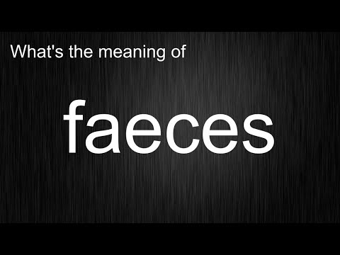 What's the meaning of "faeces", How to pronounce faeces?