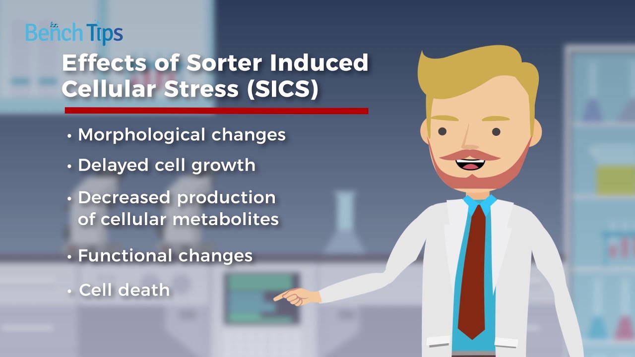 Improve the Quality of your Sorted Cells with Microfluidic Technology