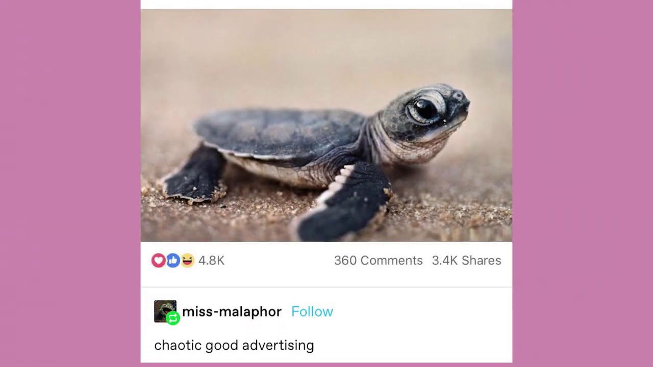 Thiqué | Late Night Tumblr Posts