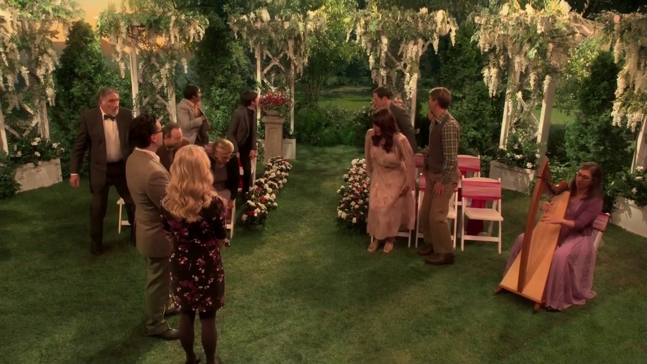 [The Big Bang Theory] Why do people cry at weddings?
