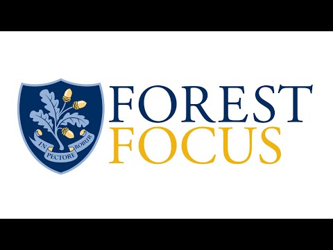 Provision of Mental Health Support at Forest