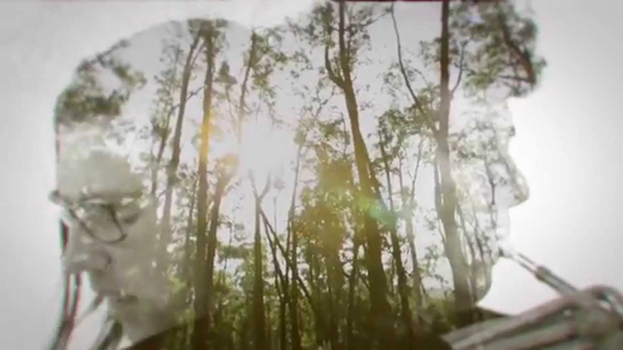 The Bean Project - Somebody Knows