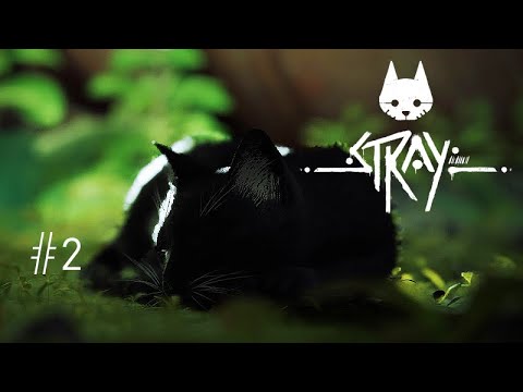 Steam Community :: Video :: (texture modded) STRAY, pt2 - "Did the ...